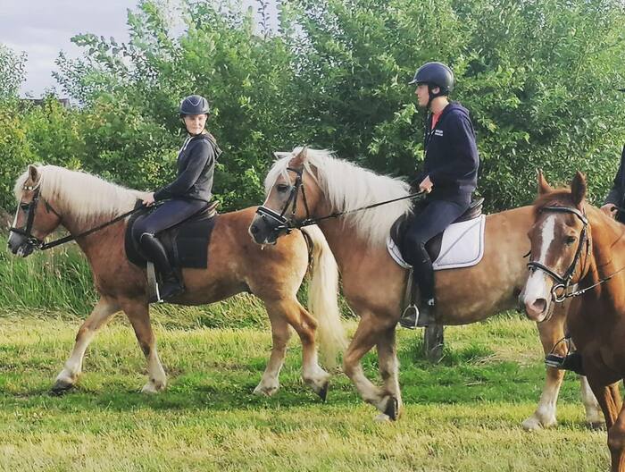 Prijzen :: Ruitersclub Saeftinghe